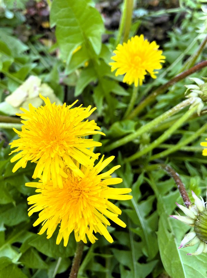 ブログ｜株式会社日運