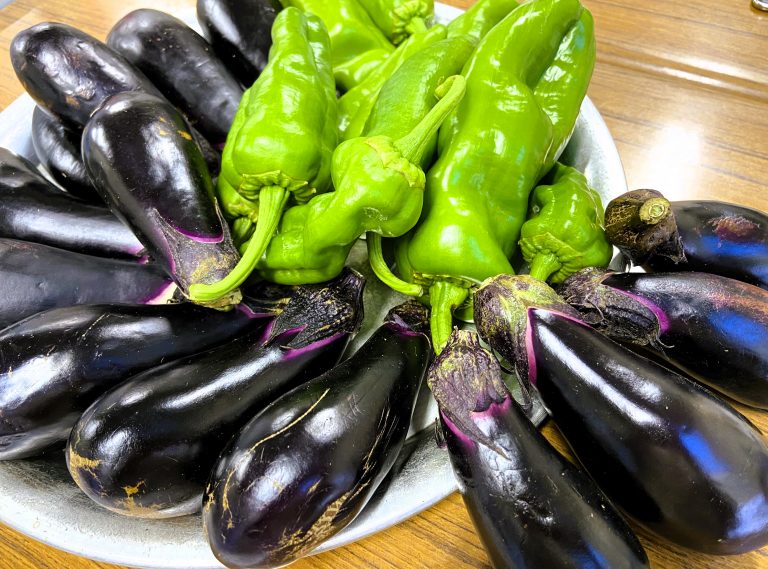 ブログ｜株式会社日運